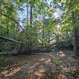 Cash Lake Loop Trail, Maryland - 1,007 Reviews, Map | AllTrails