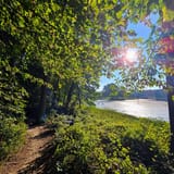 Cash Lake Loop Trail, Maryland - 1,007 Reviews, Map | AllTrails