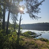 Cash Lake Loop Trail, Maryland - 1,007 Reviews, Map | AllTrails