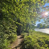 Cash Lake Loop Trail, Maryland - 1,007 Reviews, Map | AllTrails