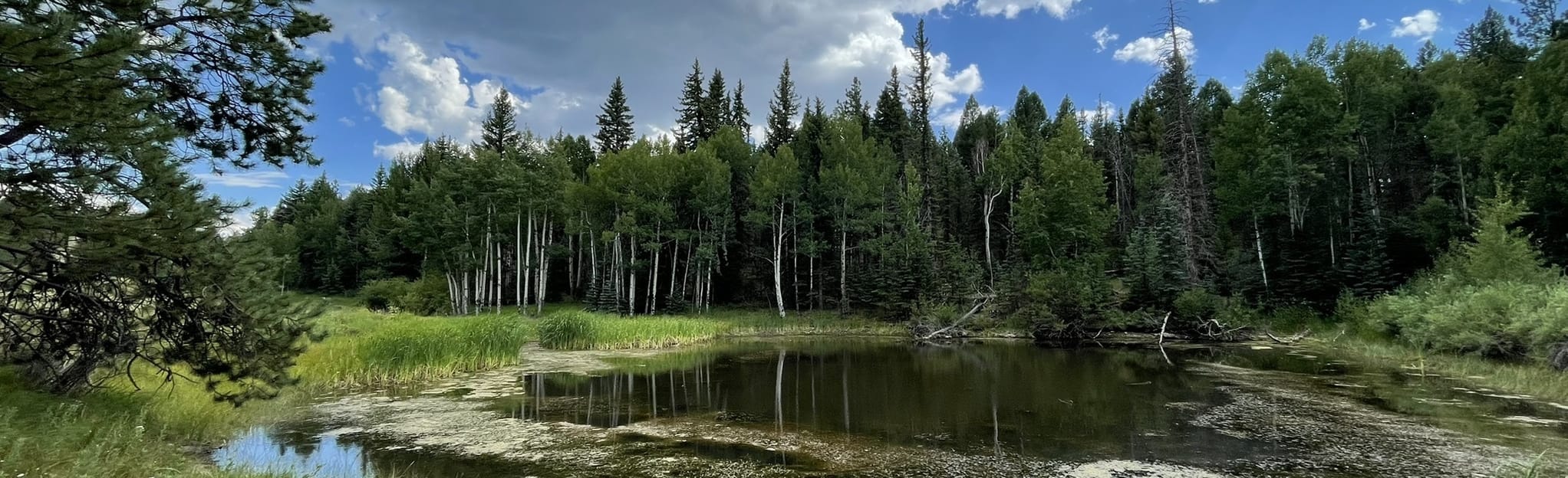 Twin Rock Trail, Colorado - 50 Reviews, Map | AllTrails