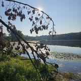 Cash Lake Loop Trail, Maryland - 1,007 Reviews, Map | AllTrails