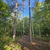 Cash Lake Loop Trail, Maryland - 1,007 Reviews, Map | AllTrails