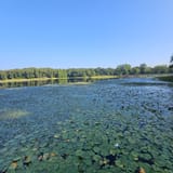 Cash Lake Loop Trail, Maryland - 1,007 Reviews, Map | AllTrails