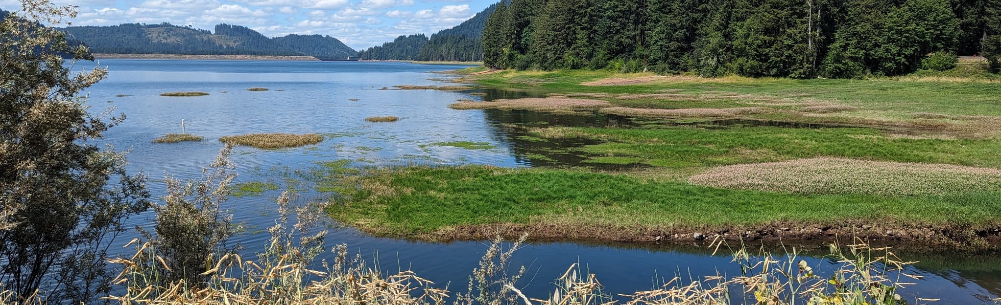 Row River Trail at Dorena Lake, Oregon - 87 Reviews, Map | AllTrails
