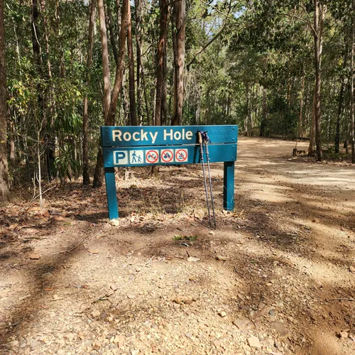 Best Hikes and Trails in Mount Mee State Forest | AllTrails