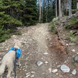 Van Patten Lake , Oregon - 208 Reviews, Map | AllTrails