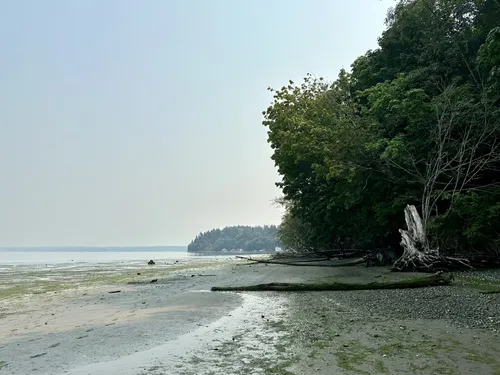 2023 Best Easy Trails in Dash Point State Park | AllTrails