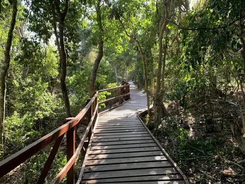 Best Hikes and Trails in The Hummock Reserve | AllTrails