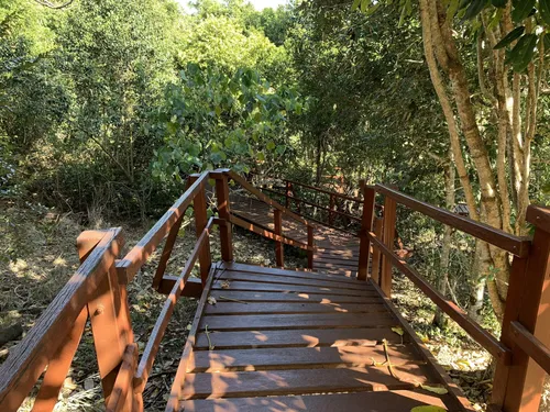 Best Hikes and Trails in The Hummock Reserve | AllTrails