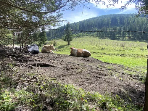 Best Waterfall Trails in Gasen | AllTrails