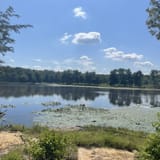 Cash Lake Loop Trail, Maryland - 1,066 Reviews, Map | AllTrails