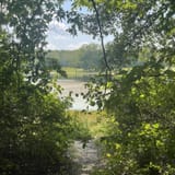 Cash Lake Loop Trail, Maryland - 1,066 Reviews, Map | AllTrails