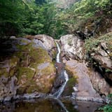 Cedar Run Falls Trail, Virginia - 693 Reviews, Map | AllTrails