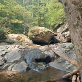 Cedar Run Falls Trail, Virginia - 693 Reviews, Map | AllTrails