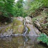 Cedar Run Falls Trail, Virginia - 693 Reviews, Map | AllTrails