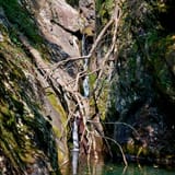 Cedar Run Falls Trail, Virginia - 693 Reviews, Map | AllTrails