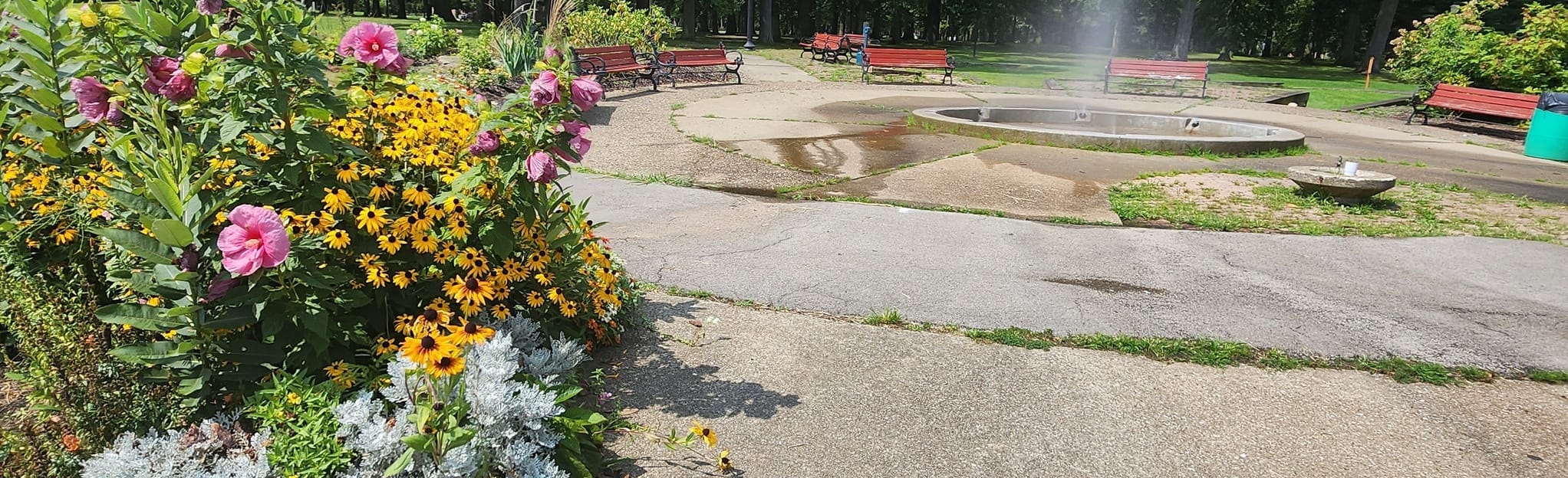 Wick Park, Ohio - 22 Reviews, Map | AllTrails