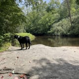 Hebron Falls via Boone Fork Trail, North Carolina - 1,161 Reviews, Map ...