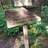 Silers Bald and Forney Creek Loop Trail, North Carolina - 79 Reviews ...