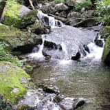 Silers Bald and Forney Creek Loop Trail, North Carolina - 79 Reviews ...