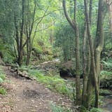 Cloughton and Hayburn Wyke, North Yorkshire, England - 364 Reviews, Map ...