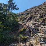 Colonel Bob Trail, Washington - 162 Reviews, Map | AllTrails