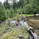 McKenzie Pond via McKenzie Pond Rd, New York - 410 Reviews, Map | AllTrails