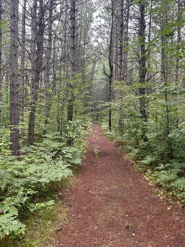 Best Hikes and Trails in Gaylord | AllTrails