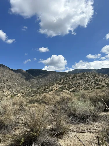10 Best Hard Trails in Sandia Foothills Open Space Park | AllTrails