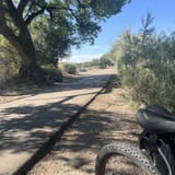 Paseo del Bosque Trail, New Mexico - 423 Reviews, Map | AllTrails