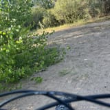 Paseo del Bosque Trail, New Mexico - 423 Reviews, Map | AllTrails