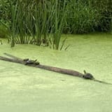 Military Ridge State Trail, Wisconsin - 108 Reviews, Map | AllTrails