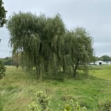 Military Ridge State Trail, Wisconsin - 108 Reviews, Map | AllTrails