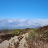 Point Sal Overlook, California - 655 Reviews, Map | AllTrails
