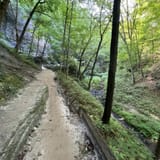 River Trail, Bluff Trail, and Illinois Canyon Loop, Illinois - 569 ...
