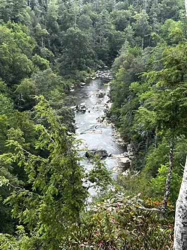 2023 Best River Trails in Jonas Ridge | AllTrails