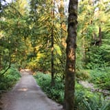 Short Sand Beach Trail, Oregon - 676 Reviews, Map | AllTrails
