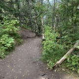 Bodenburg Butte via West Butte Trail, Alaska - 1,253 Reviews, Map ...