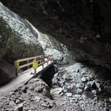 Boulder Cave Trail, Washington - 192 Reviews, Map | AllTrails