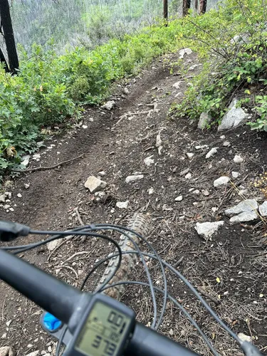 2023 Best Off Road Driving Trails in Durango | AllTrails