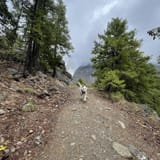 Seton Lake Lookout, British Columbia, Canada - 260 Reviews, Map | AllTrails
