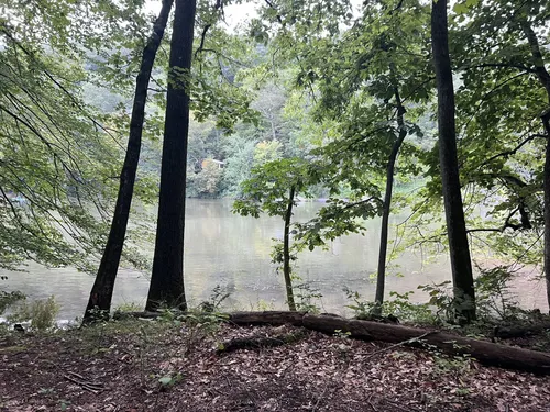 Best Hikes and Trails in Esopus Bend Nature Preserve | AllTrails