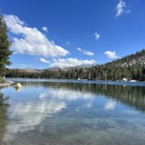 McLeod Lake Trail, California - 847 Reviews, Map | AllTrails