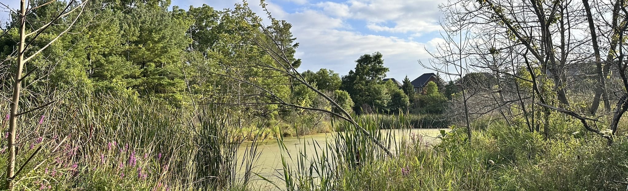 Sheldon Creek Trail - Creekpath Woods Trail, Ontario, Canada - 45 ...