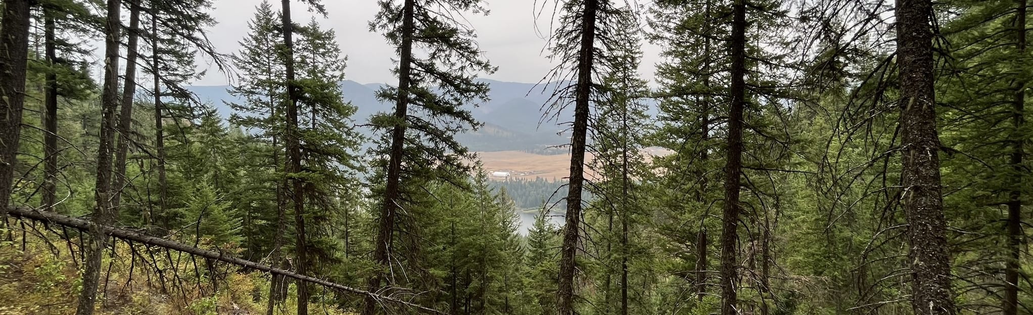 Clark Fork River Valley Trail: 6 Reviews, Map - Montana | AllTrails