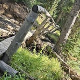 Summit View Nature Trail, Montana - 181 Reviews, Map | AllTrails