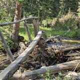 Summit View Nature Trail, Montana - 181 Reviews, Map | AllTrails