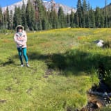 Gray Butte Trail, California - 203 Reviews, Map | AllTrails