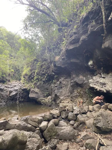 2023 Best River Trails in Ewa Forest Reserve | AllTrails
